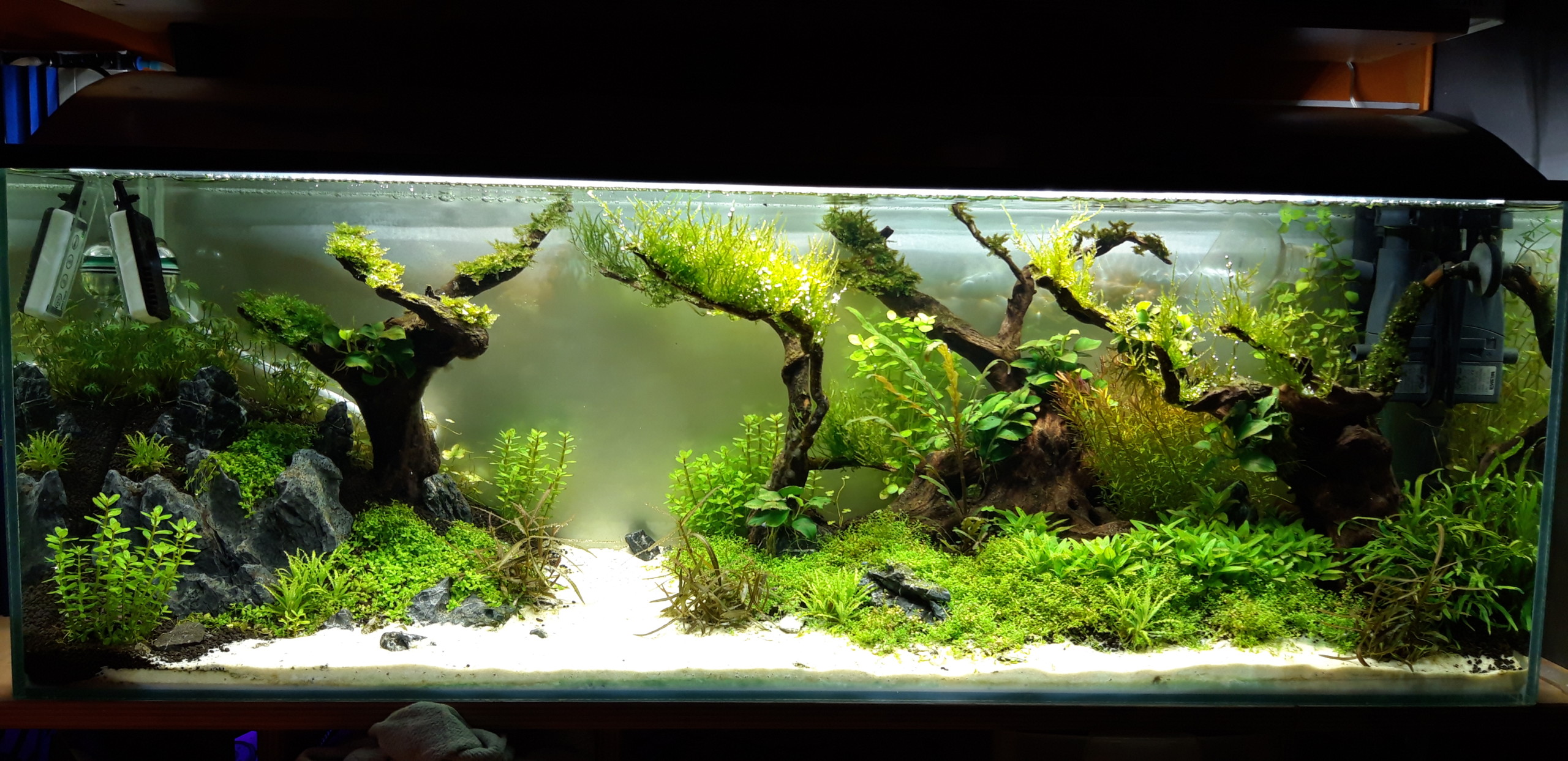 Aquascaping 02 • Aquascaping