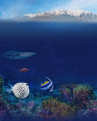 Oniria - L'aquarium de Canet-en-Roussillon • Fishipedia